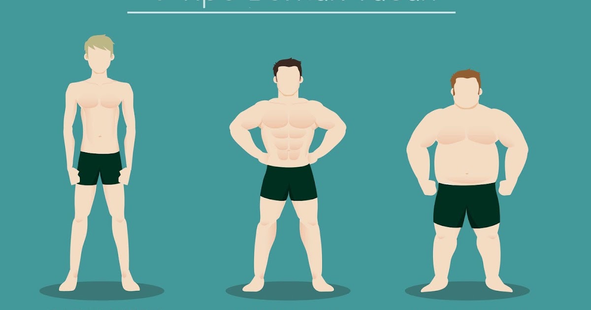 Kenali Tipe Tubuh Kalian Sebeum Memulai Membentuk Badan Atletis ...