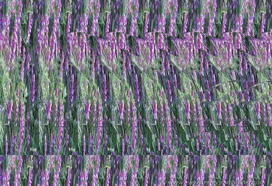 Another 3D Magic Eye Buddha Stereogram - NAMMASTTE