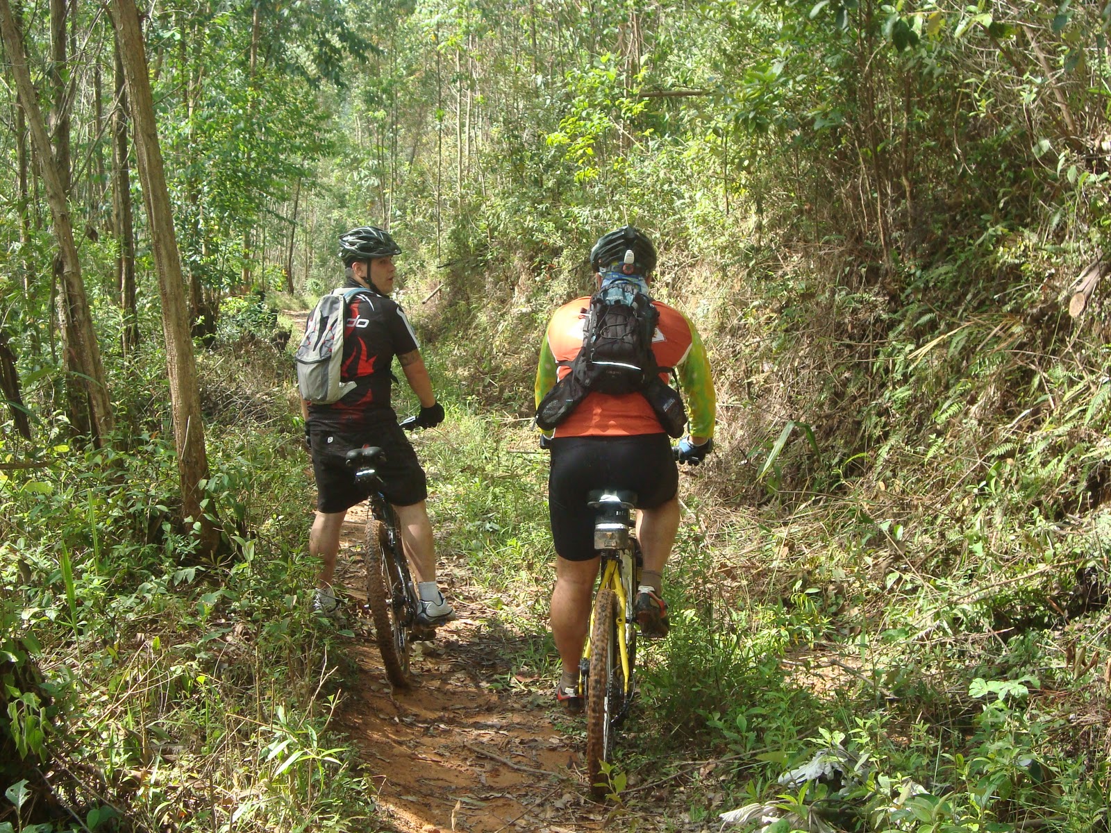 MTB Adventure: Trilha de Bike na Serra do Japi - Jundiai - SP