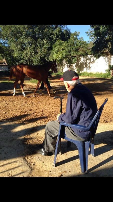 Bienvenidos a Hípica Global: El legado de Ángelo Serafini Natale a la ...