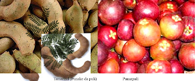 TuLu Research & Studies: 2011