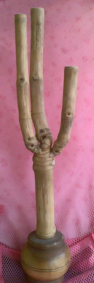 Galeri Bambu Unik Nusantara: Bambu Pethuk Asli dari Pohon