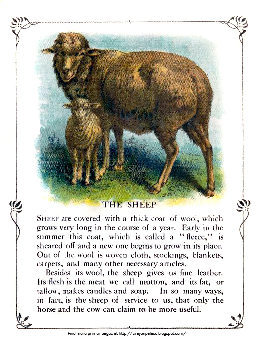 Crayon Palace: The Sheep Primer Page