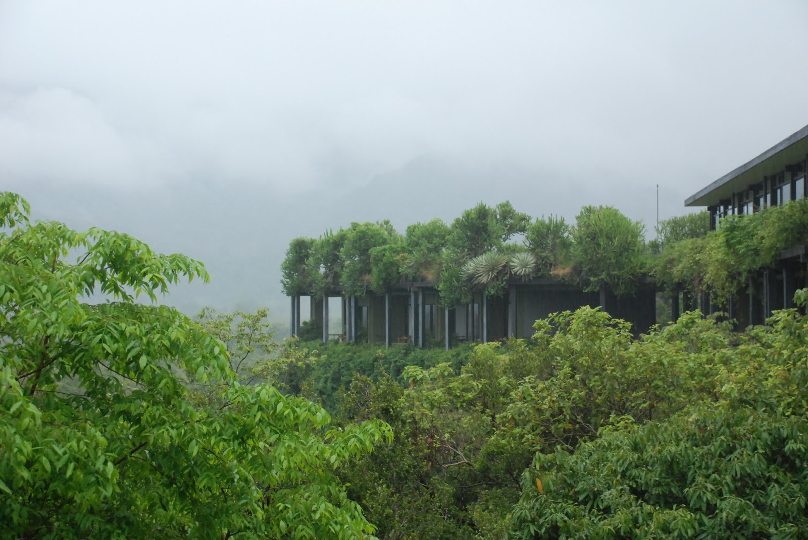 KANDALAMA LAKE | Number One Travel Destination