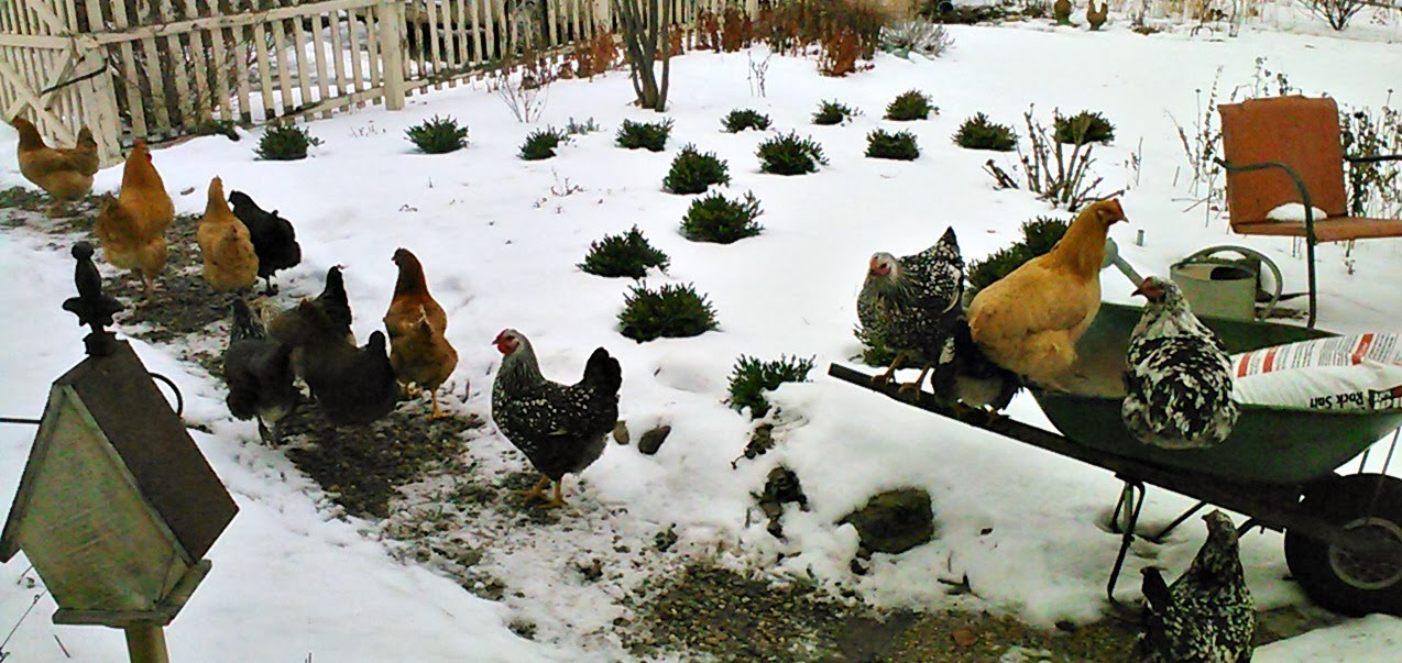 Tales from the Coop Keeper: Craftopia -or - Why Winter Isn't Long ...