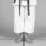 DOJO BUDO RYU KIN´IRO: POSICIONES DE KARATE