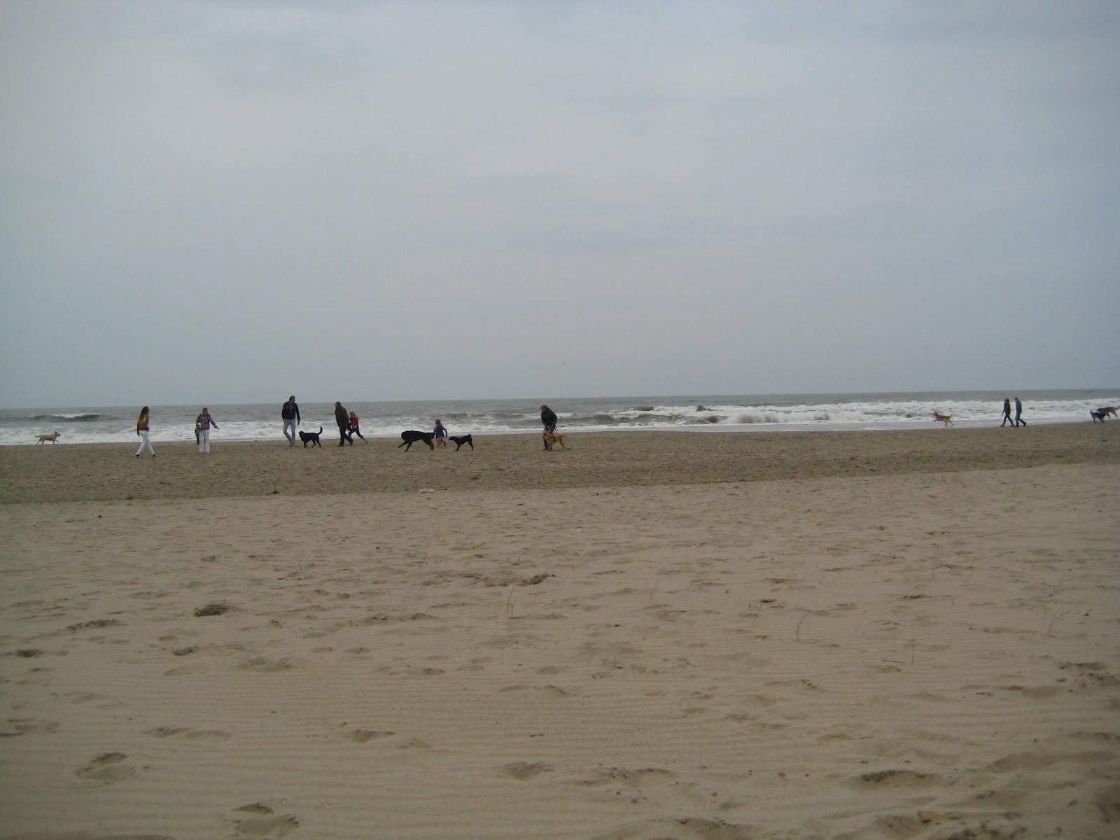 In de zoete inval: Dagje strand