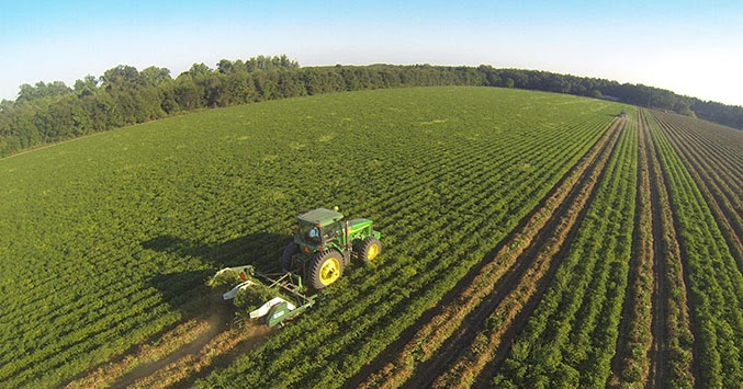 WHAT IS AGRICULTURE? HOW AGRICULTURAL DEVELOPMENT BEGINS