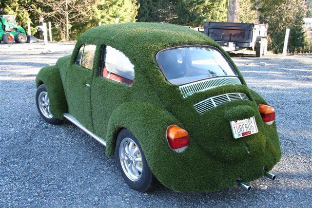 Amazing Grass - Covered Cars ~ Alpin Funny Picture!!