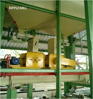 Tahukah Anda? : Proses Pembuatan Minyak (CPO) Kelapa Sawit