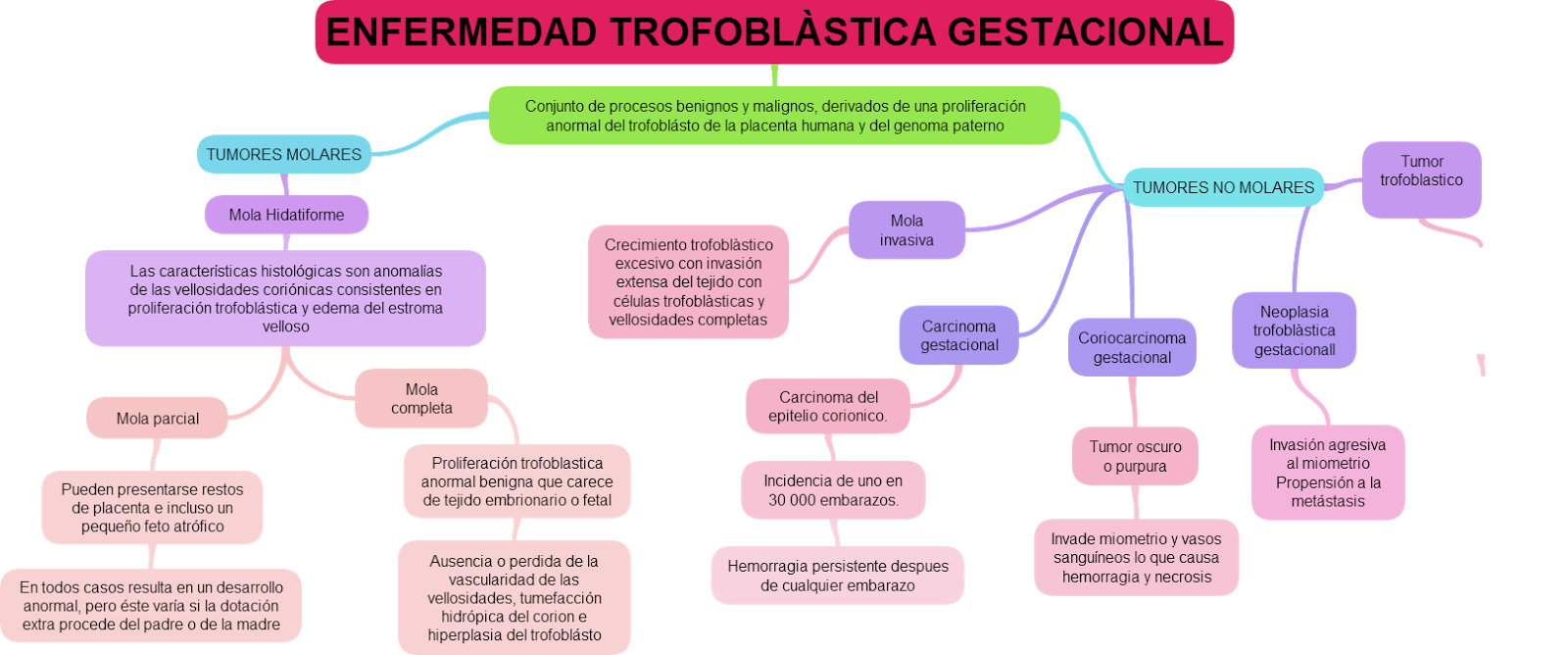 MUNDO GINECOLOGICO: ENFERMEDAD TROFOBLASTICA GESTACIONAL