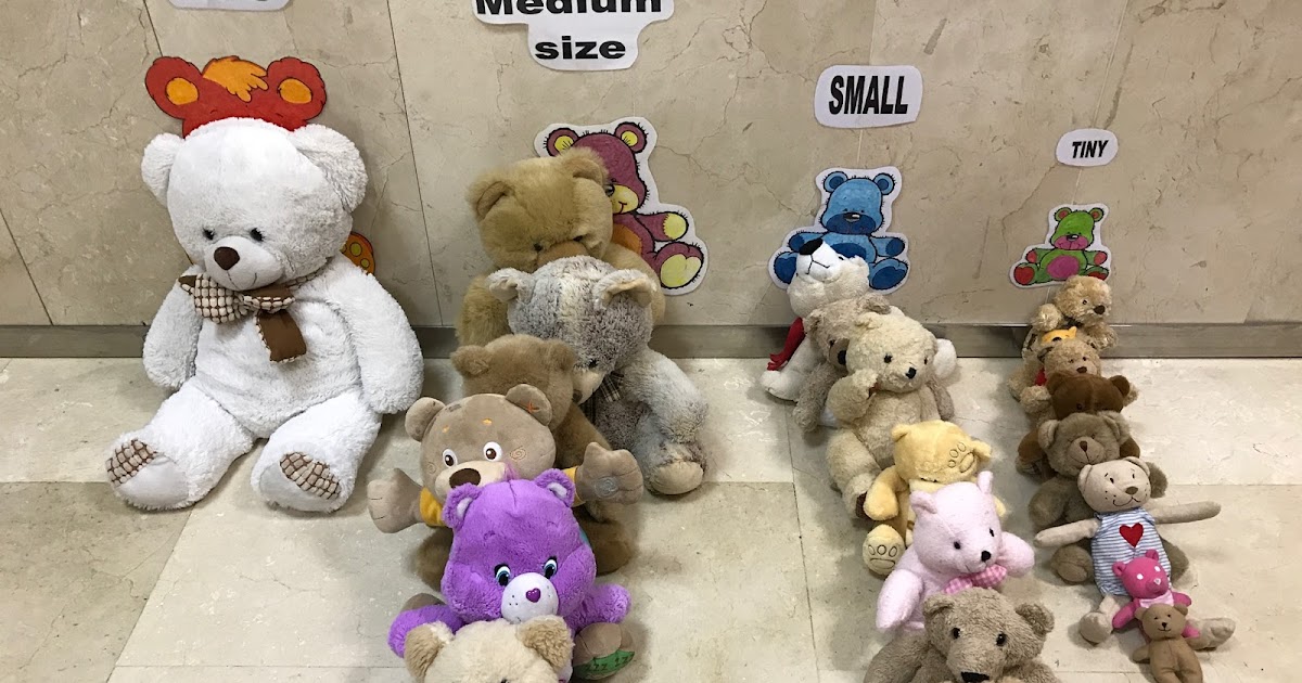 Classifying our teddies by Size