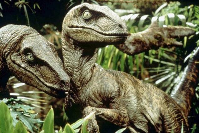 Dinossauros Em Volta Do Mundo: Velociraptor
