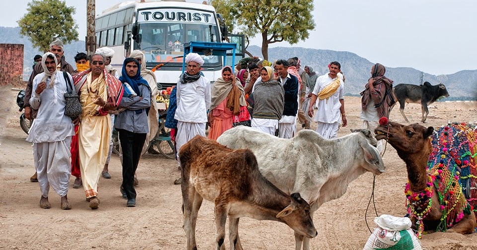 A Dynasty of Dust - featured in Jaggery