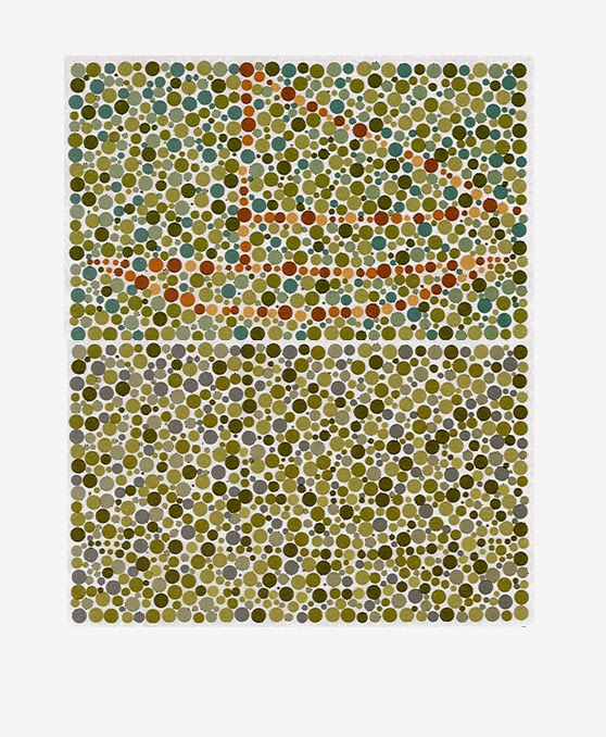 Buta Warna, Tes dan Bagaimana Penderita Melihat Warna-warni Dunia