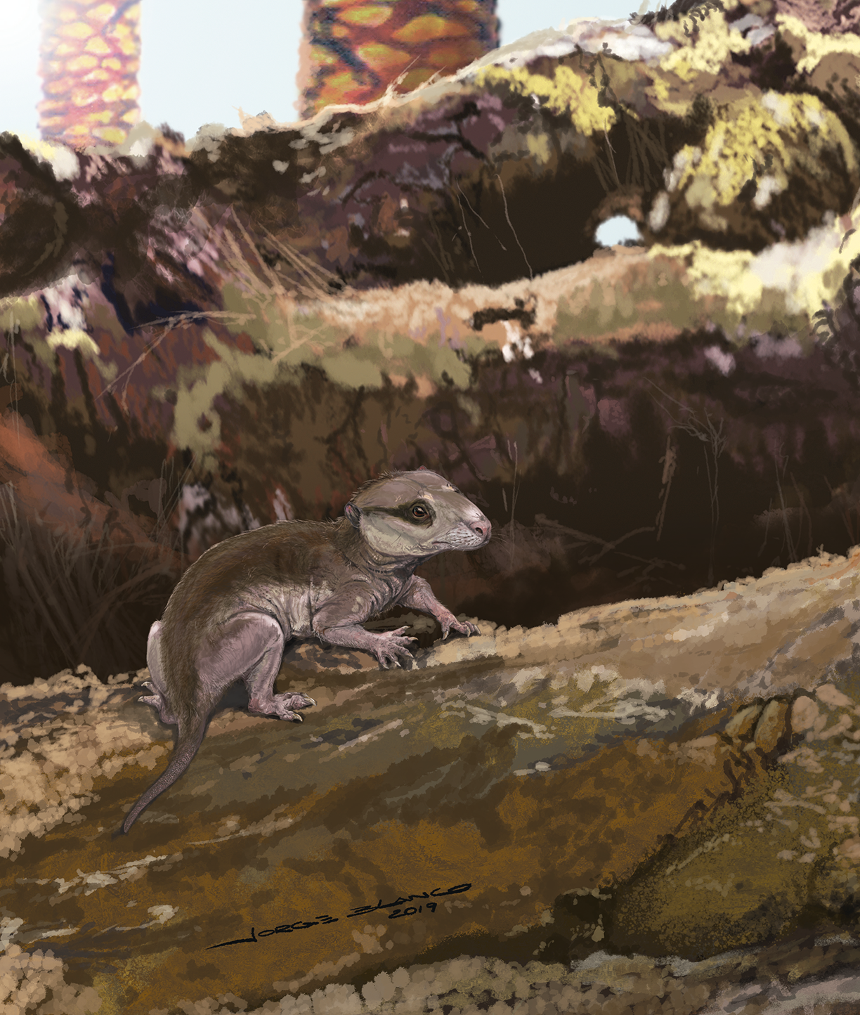 Species New to Science: [Paleontology • 2019] The Postcranial Anatomy ...