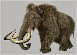 Beyond the Cross: The Mammoth
