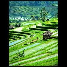 PENGERTIAN DAN DEFINISI TERASERING - librarian.id