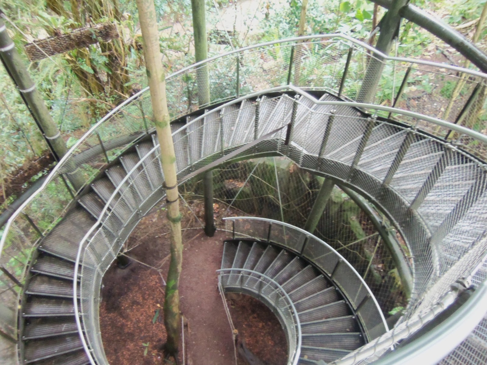 Masoala Halle Zürich Zoo