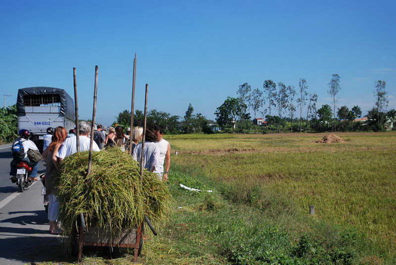 My Tho City, Tien Giang - Travel world holidays