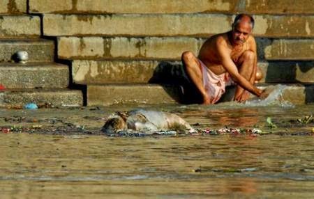 Facts about Ganges pollution | Mysteries in India