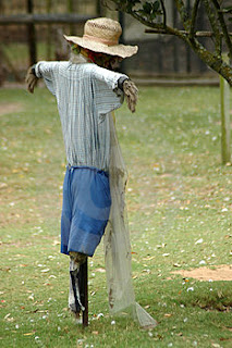 Graphic Arts Designers: Stock Images Scarecrows in Fields