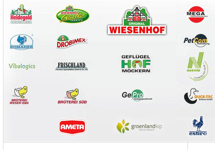 GREEN: Die PHW-GRUPPE