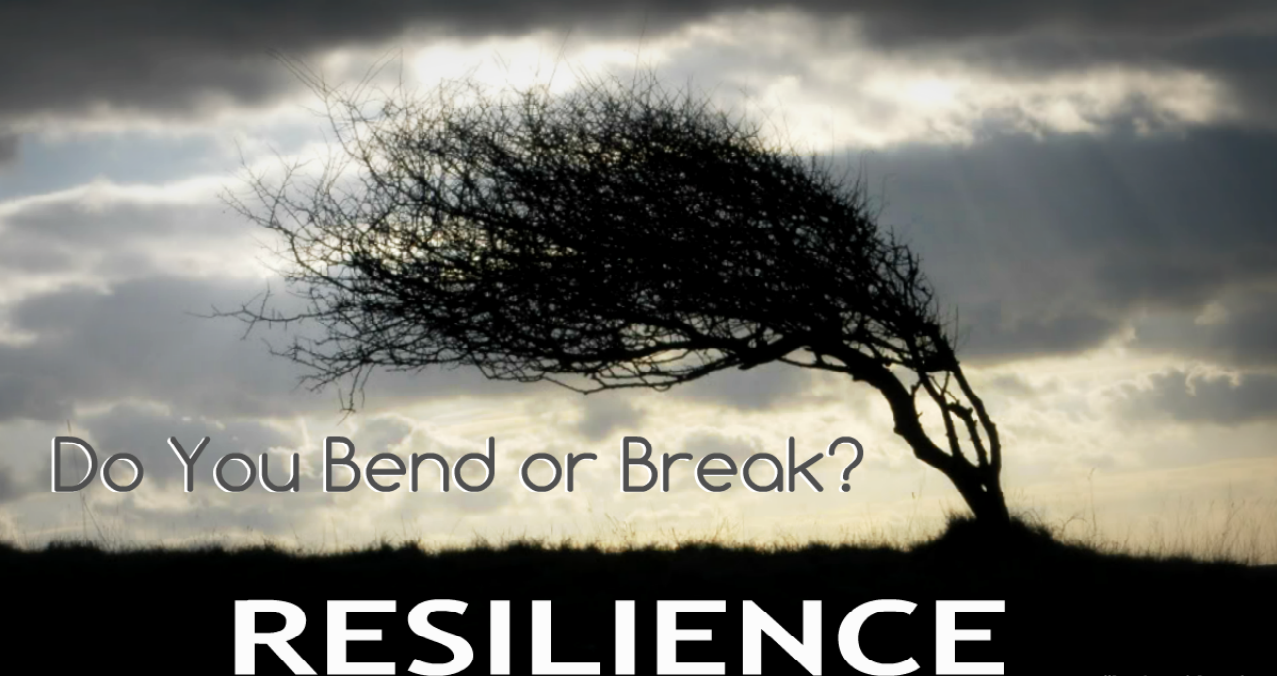 The Skyhawk Trail: Resilience - Bouncing Back From Hard Things