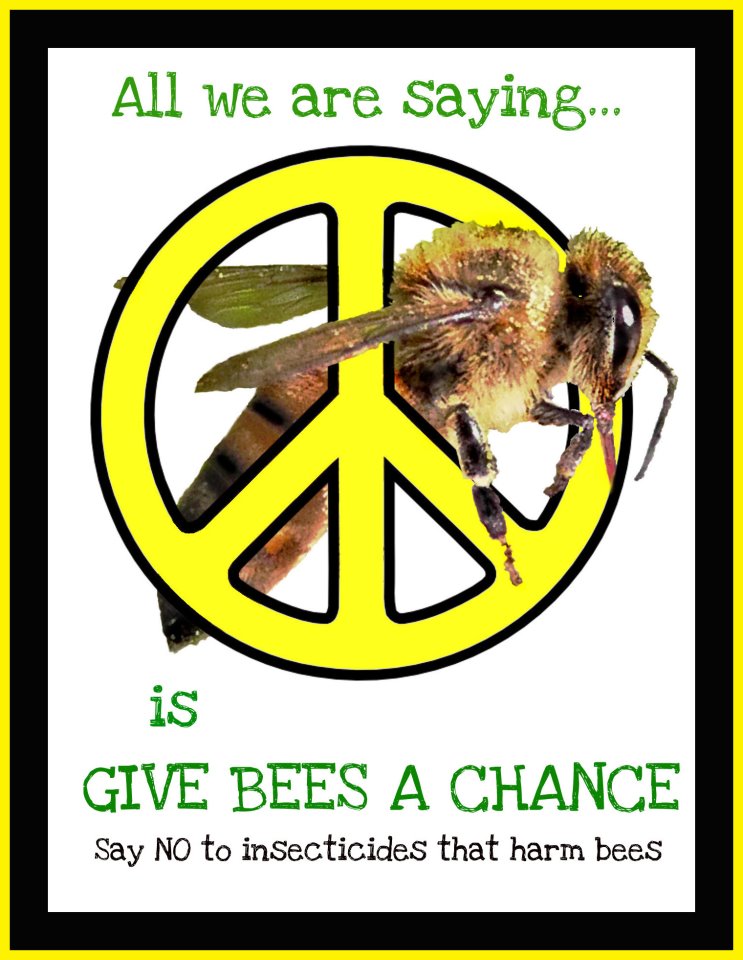 Bees Trees Frogs Elephants - Nature and Ecology Blog: Give BEES a Chance