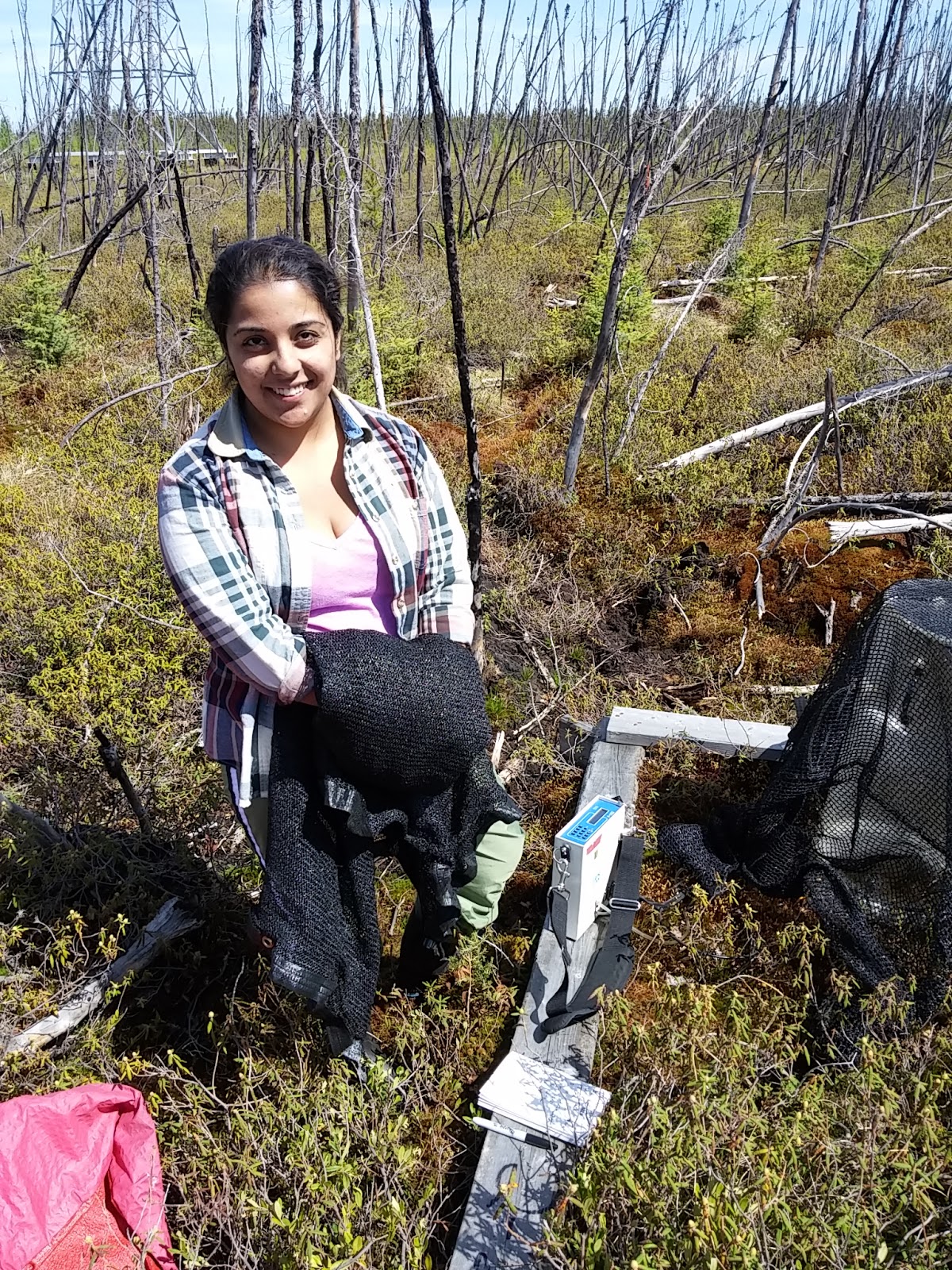 The 55th Parallel: Pictures 2015