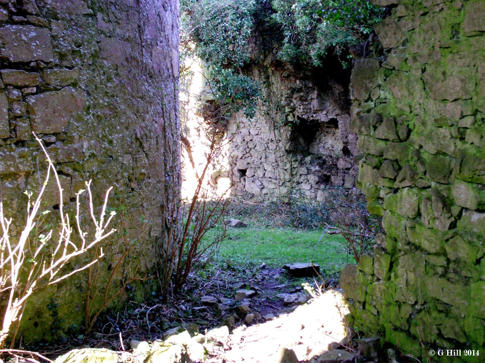 Ireland In Ruins: Lea Castle Co. Laois