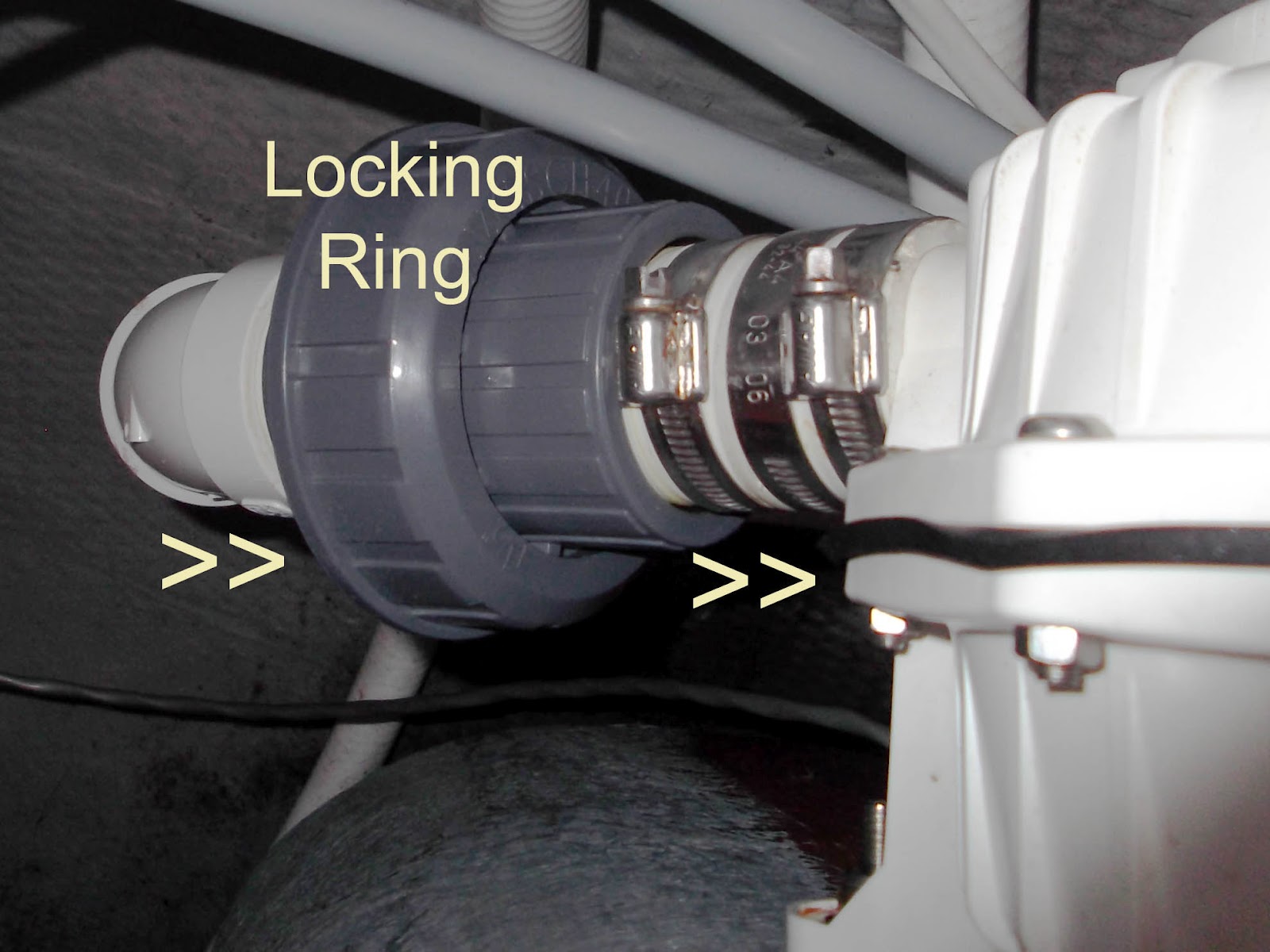 The world encompassed: State of heads