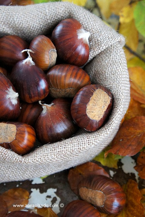 Castagne: un dono del bosco e tanti ricordi | Zonzolando