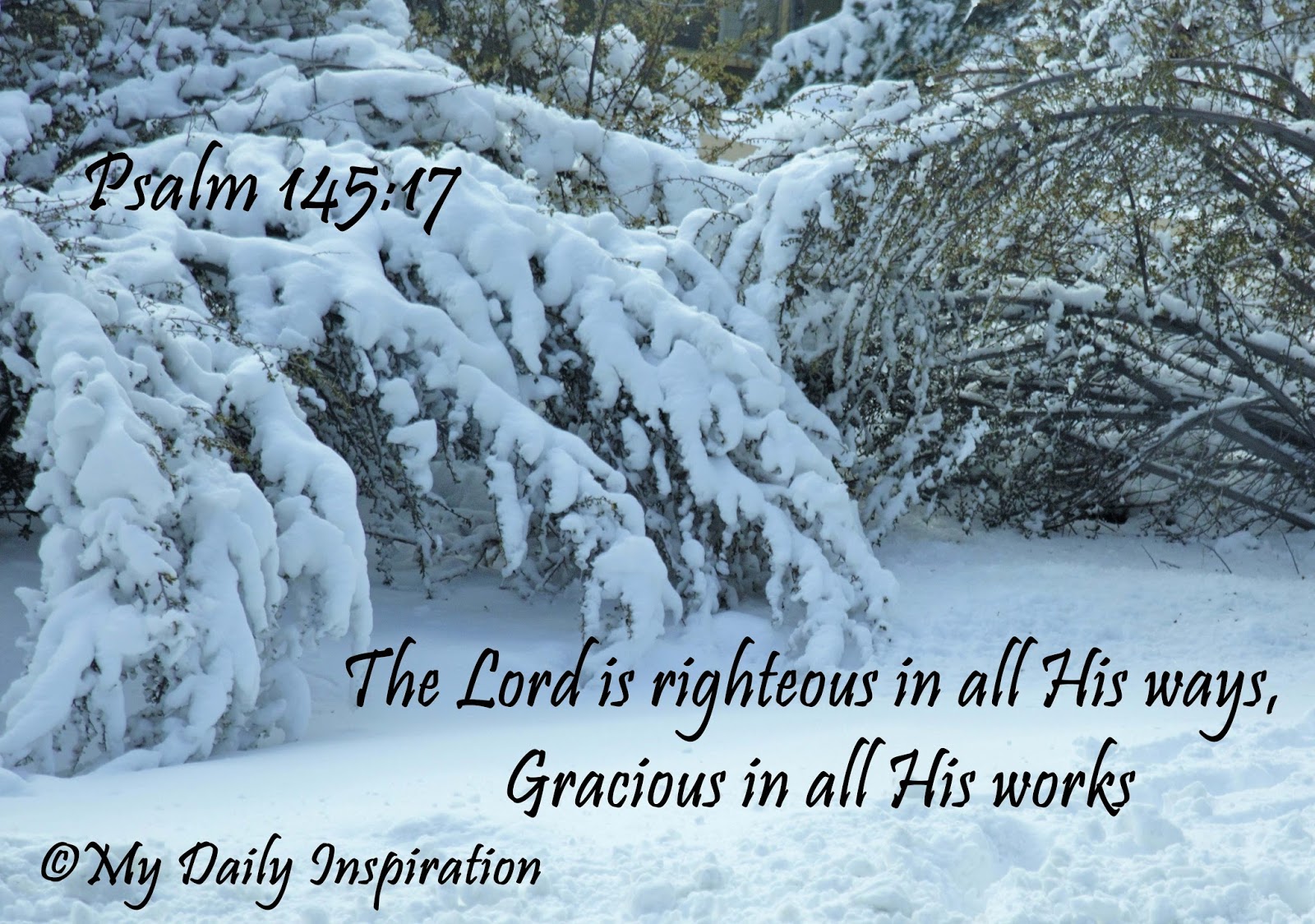 The Lord is righteous in all His ways