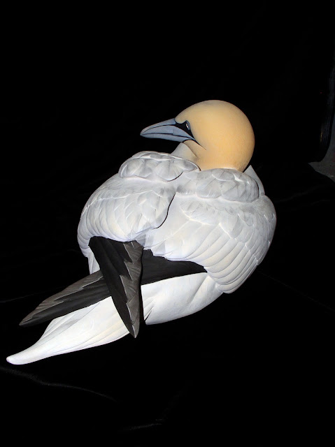 Keith Mueller Bird Carvings: Sea Bird Decoys 1 (Test)