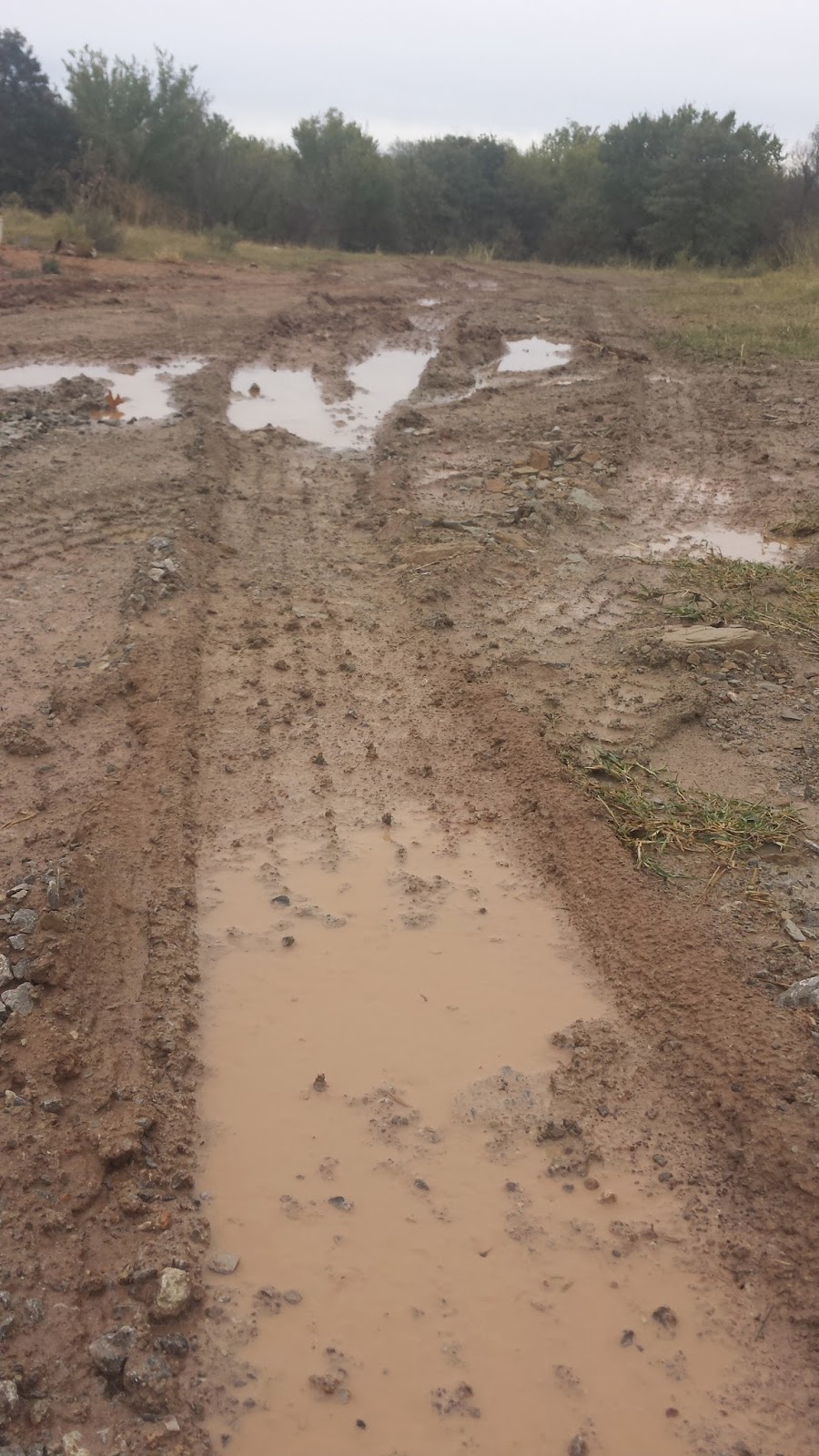 A Building We Shall Go!: Texture Tuesday ~ MUD Tracks