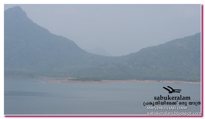 പ്രകൃതിയിലേക്ക് ഒരു യാത്ര (a travel towards NATURE): MANIMUTHAR DAM VIEWS