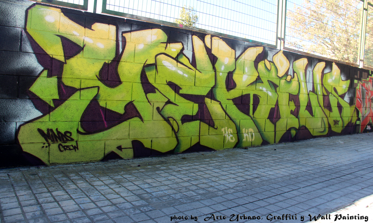 @photojo53: TBS 20 años , l'Horta Sud(49)