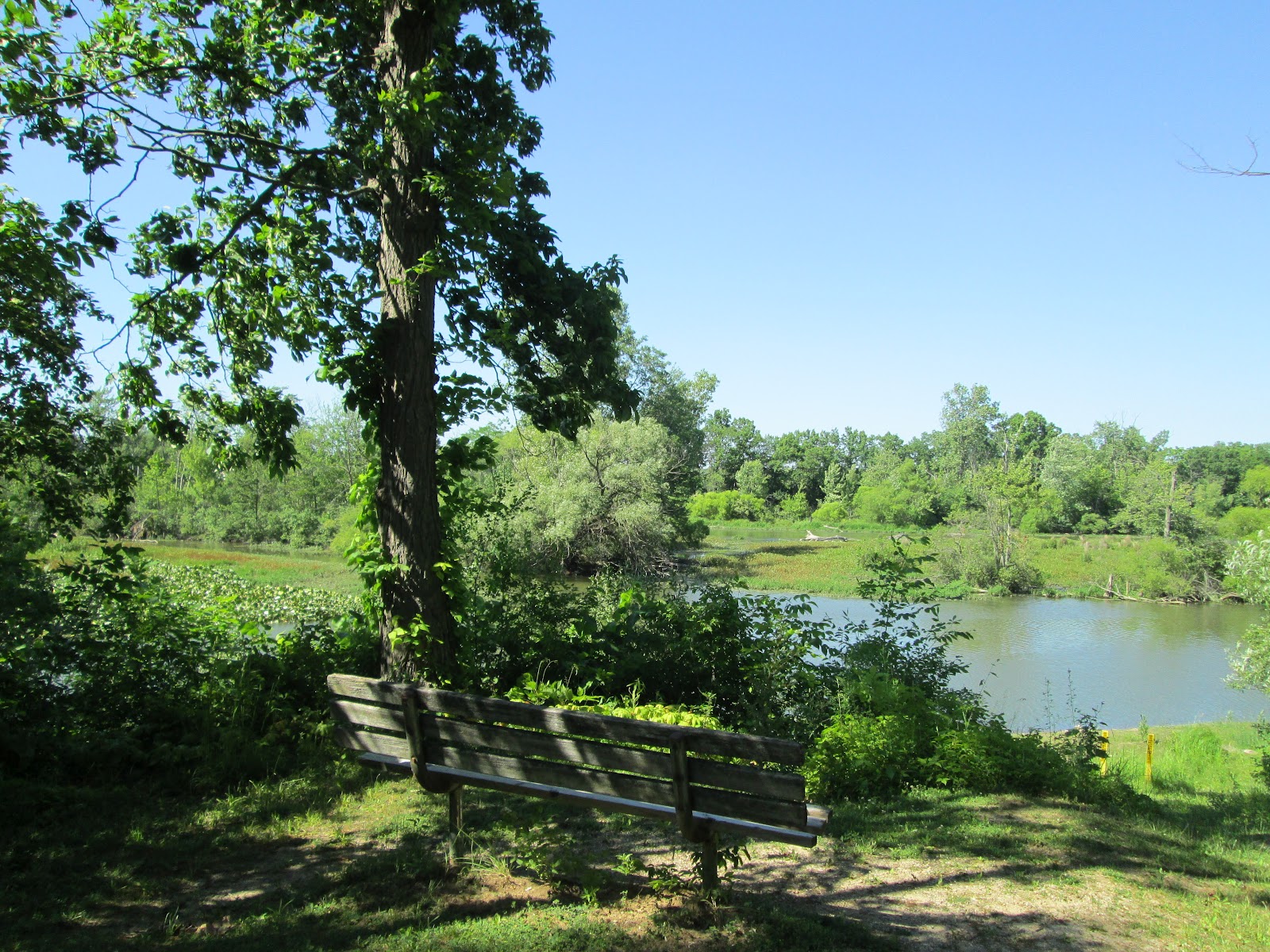 Discovering Michigan: Metroparks: Lower Huron, Willow, and Oakwoods ...