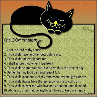 Bodhi's Mews: Cat's 10 Commandments