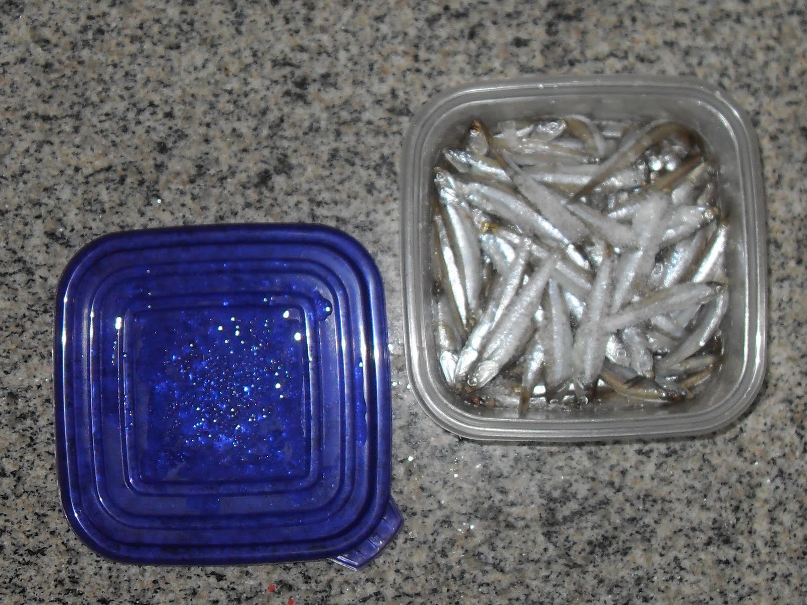 PESCA COM MARCÃO: O uso da Pititinga congelada.