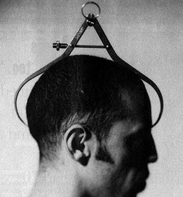 The Subversive Archaeologist: The Evolutionary Biology of Race: Are ...