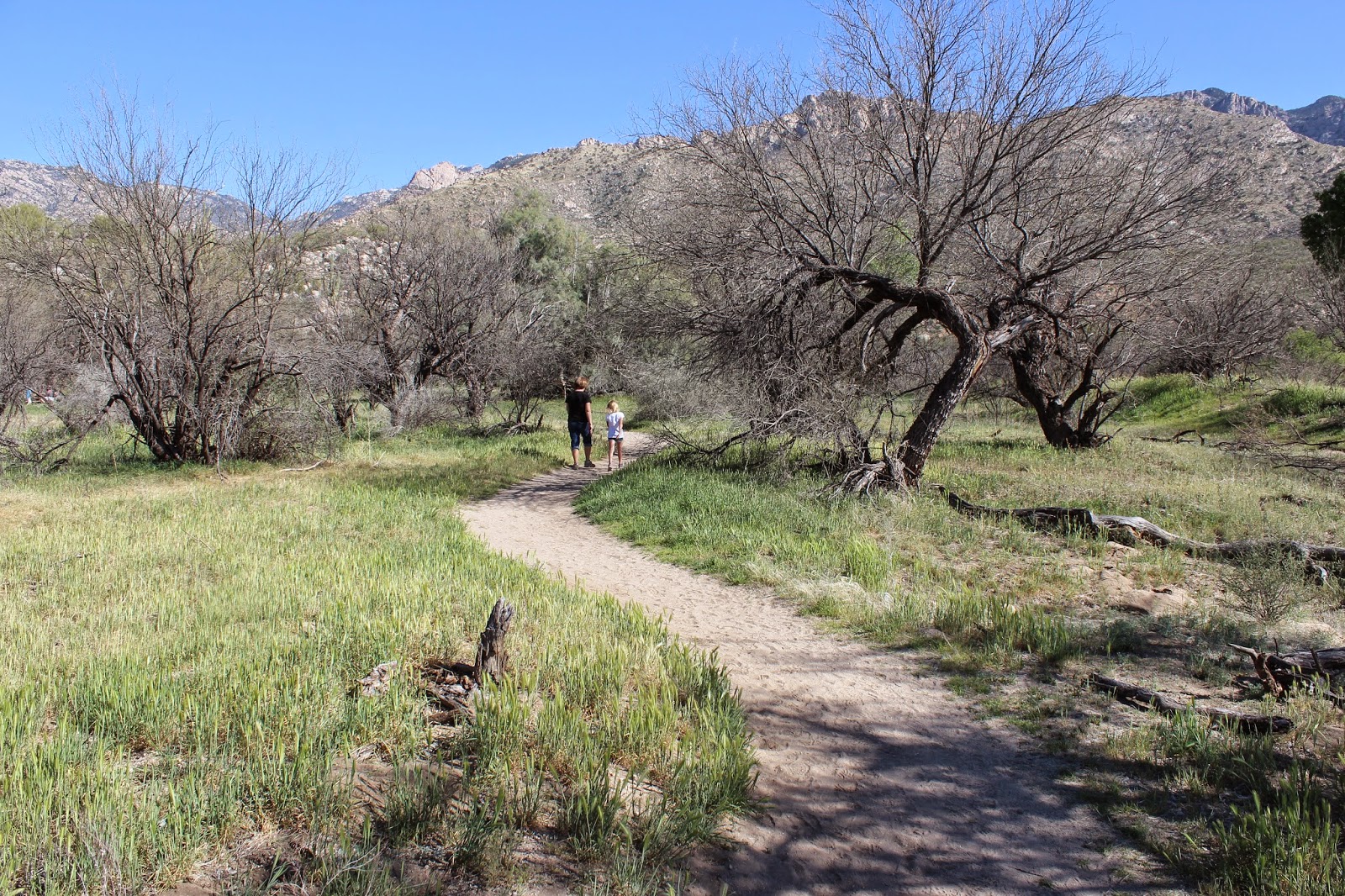 gjhikes.com: Catalina Birding Trail