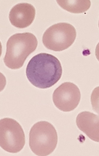 A Dull Day At Work...?: 26 February 2018 (Monday) - Cabot Ring