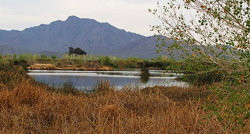 Birding Without Barriers: Tres Rios Rocks!
