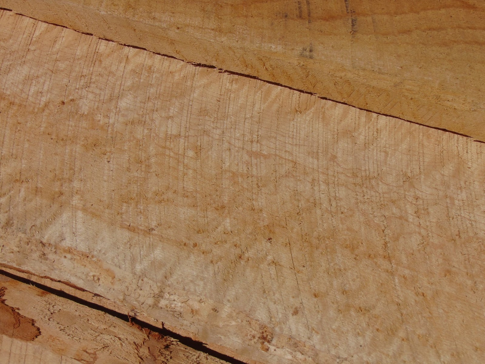 logs to furniture: Heavy eye birdseye, curly bark pocket , tight curly ...