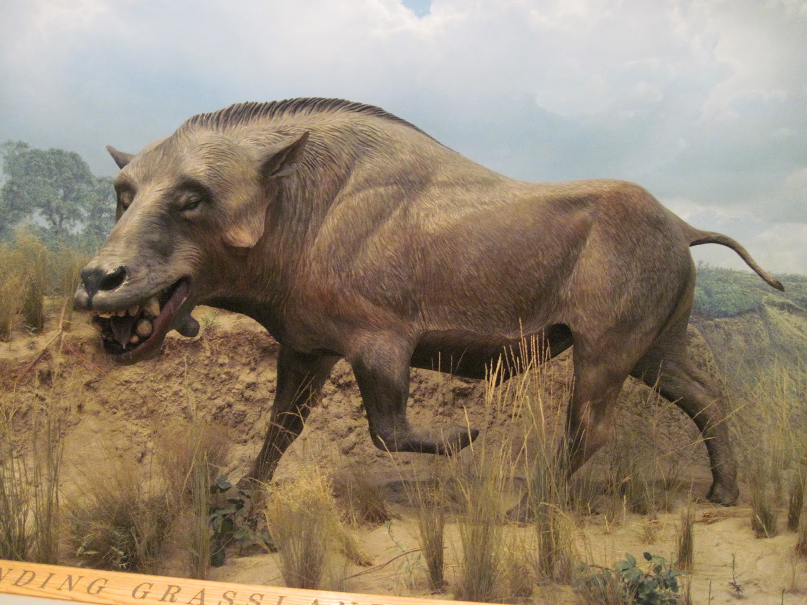 What happens when a non-accredited paleontology fan blogs: An overview ...