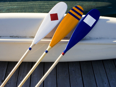 Paddle Making (and other canoe stuff): Painted Paddle Trend