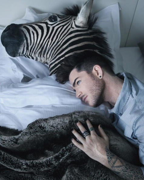 Harry Potter fans: what patronus would belong to each character? : r/glee