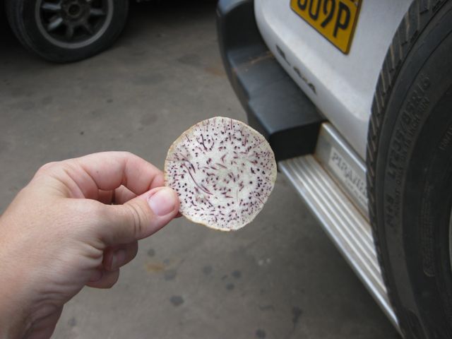 Livin' the Good Life: Travel to Kampala/Kenya